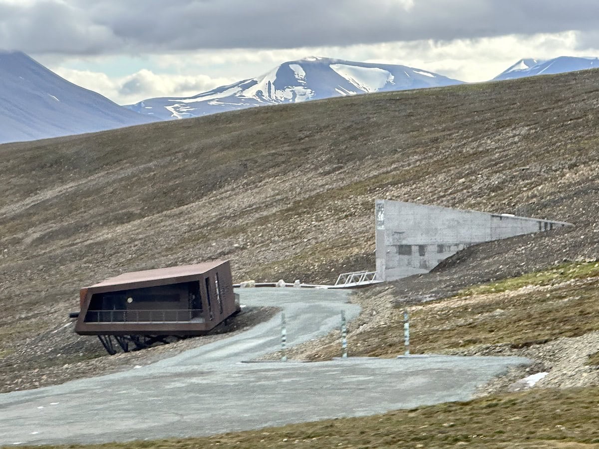 Svalbard Summer Guide (2025) – How to Visit Svalbard in Summer